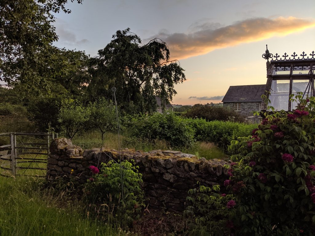 Keep your eye on your 'why'! - Alex Grist - ExceptionalCX